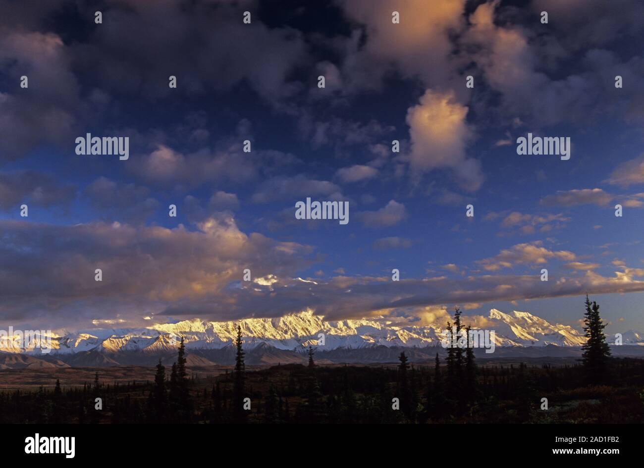 Denali is the highest mountain peak in North America / Denali National ...