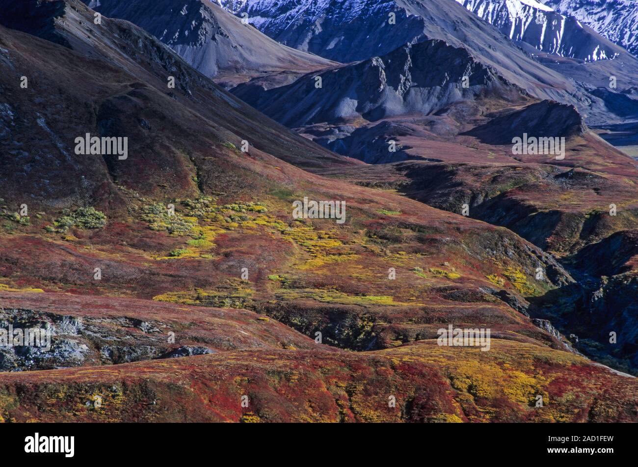 Tundra landscape alaska hi-res stock photography and images - Alamy