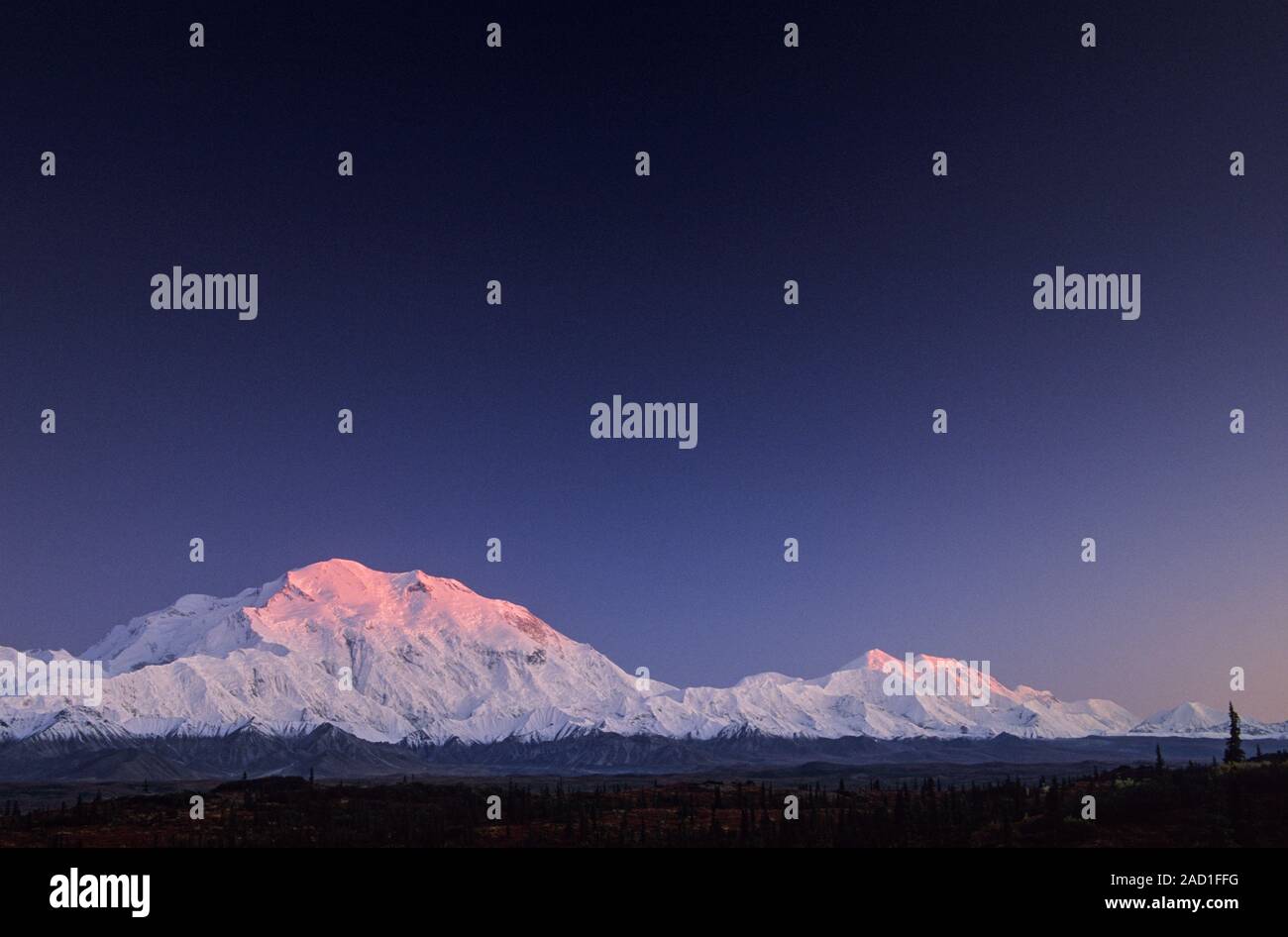 Mt mckinley and autumn foliage denali hi-res stock photography and ...
