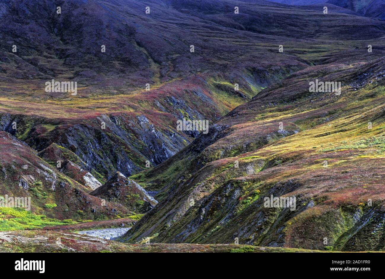 Tundra landscape alaska hi-res stock photography and images - Alamy
