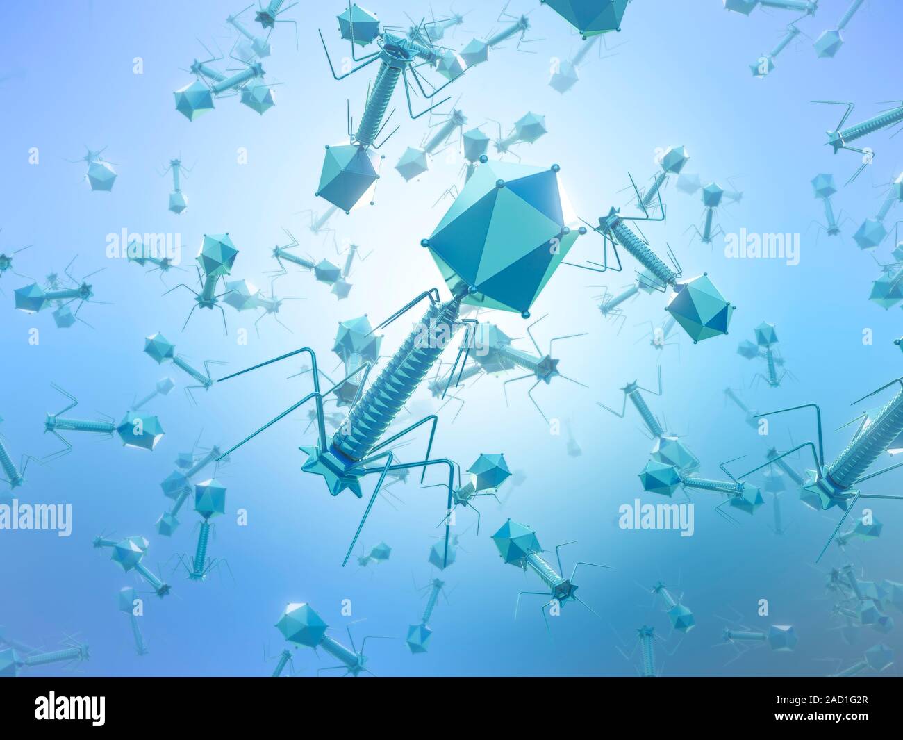 Bacteriophage T4 viruses. 3D computer illustration of multiple T4 ...