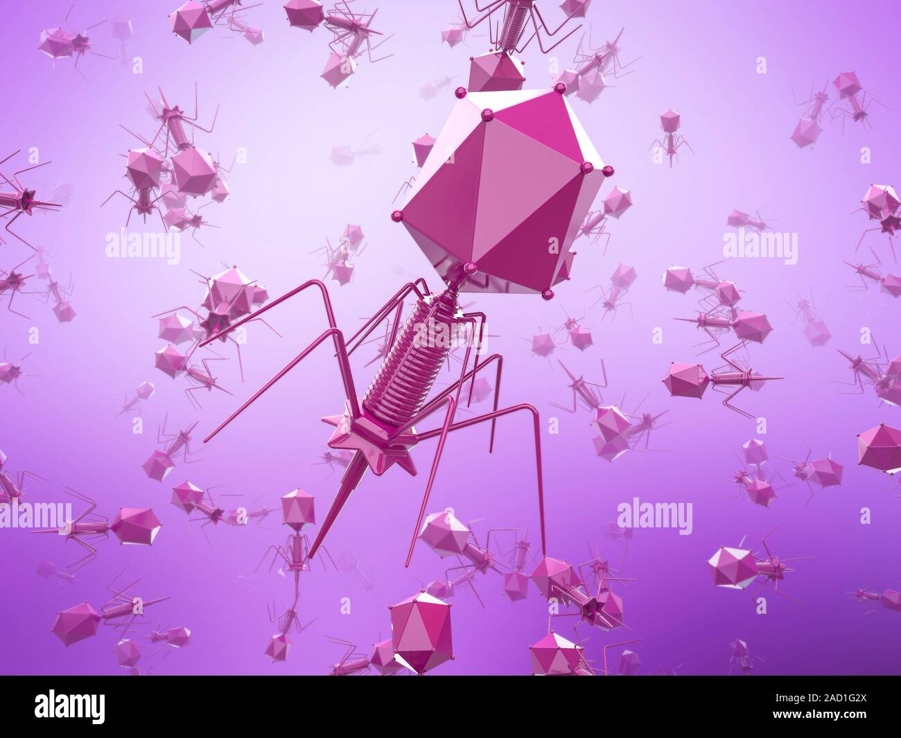Bacteriophage T4 viruses. 3D computer illustration of multiple T4 ...