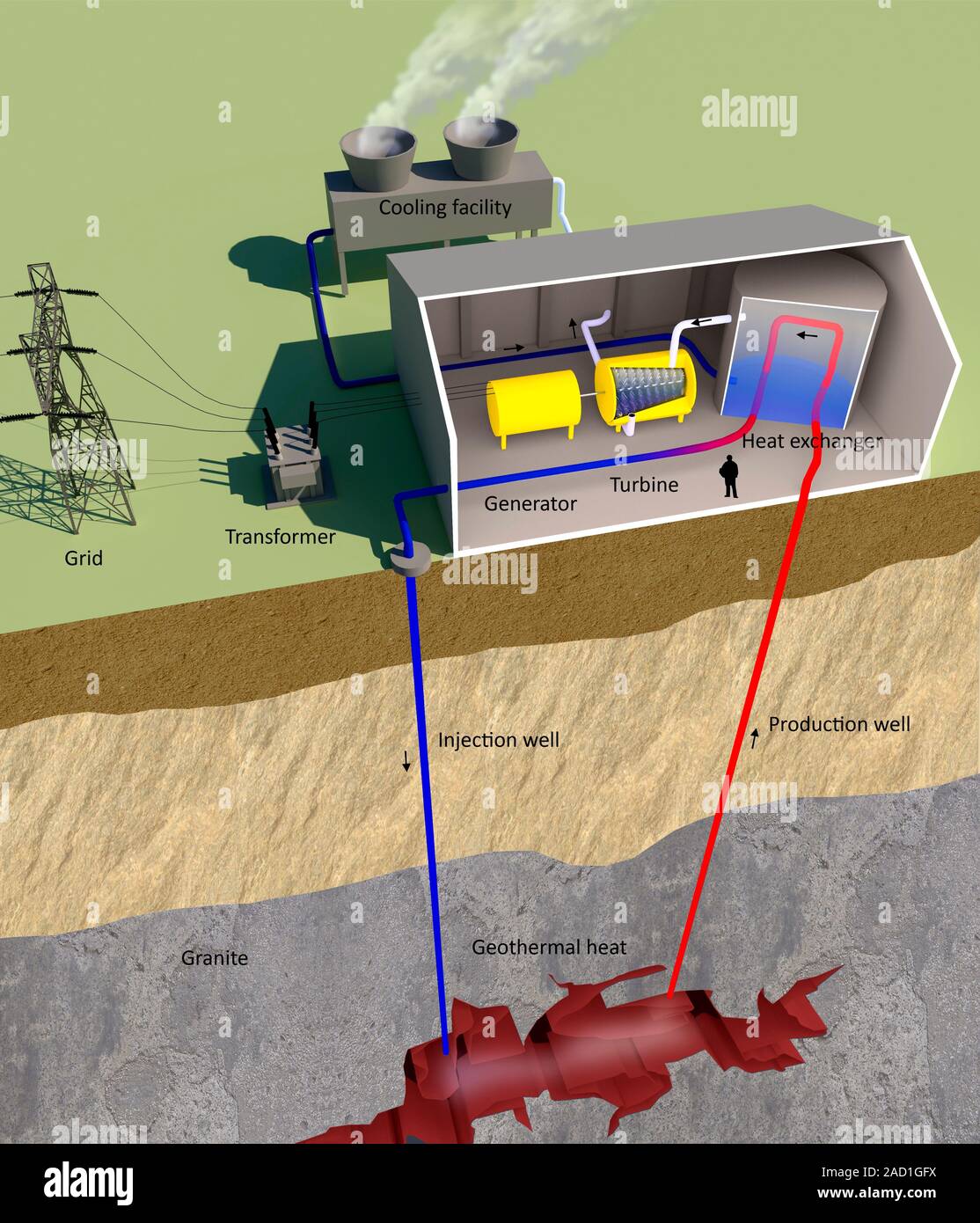 Geothermal energy. Diagram showing the principles behind electricity ...