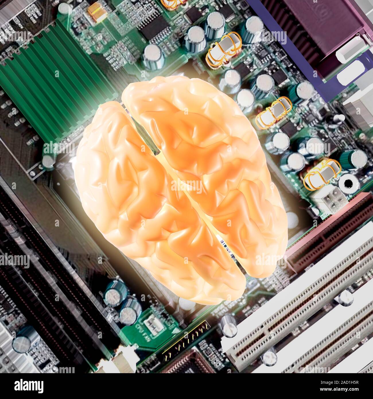 Computer brain, conceptual computer illustration Stock Photo - Alamy