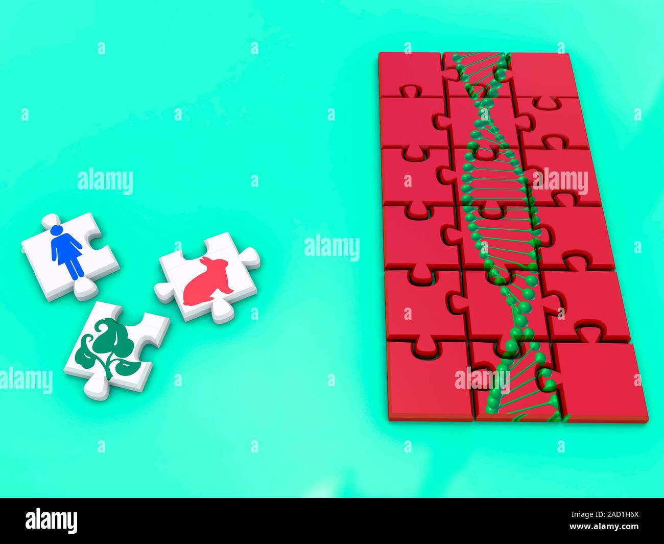 Genetic engineering, conceptual computer illustration Stock Photo - Alamy