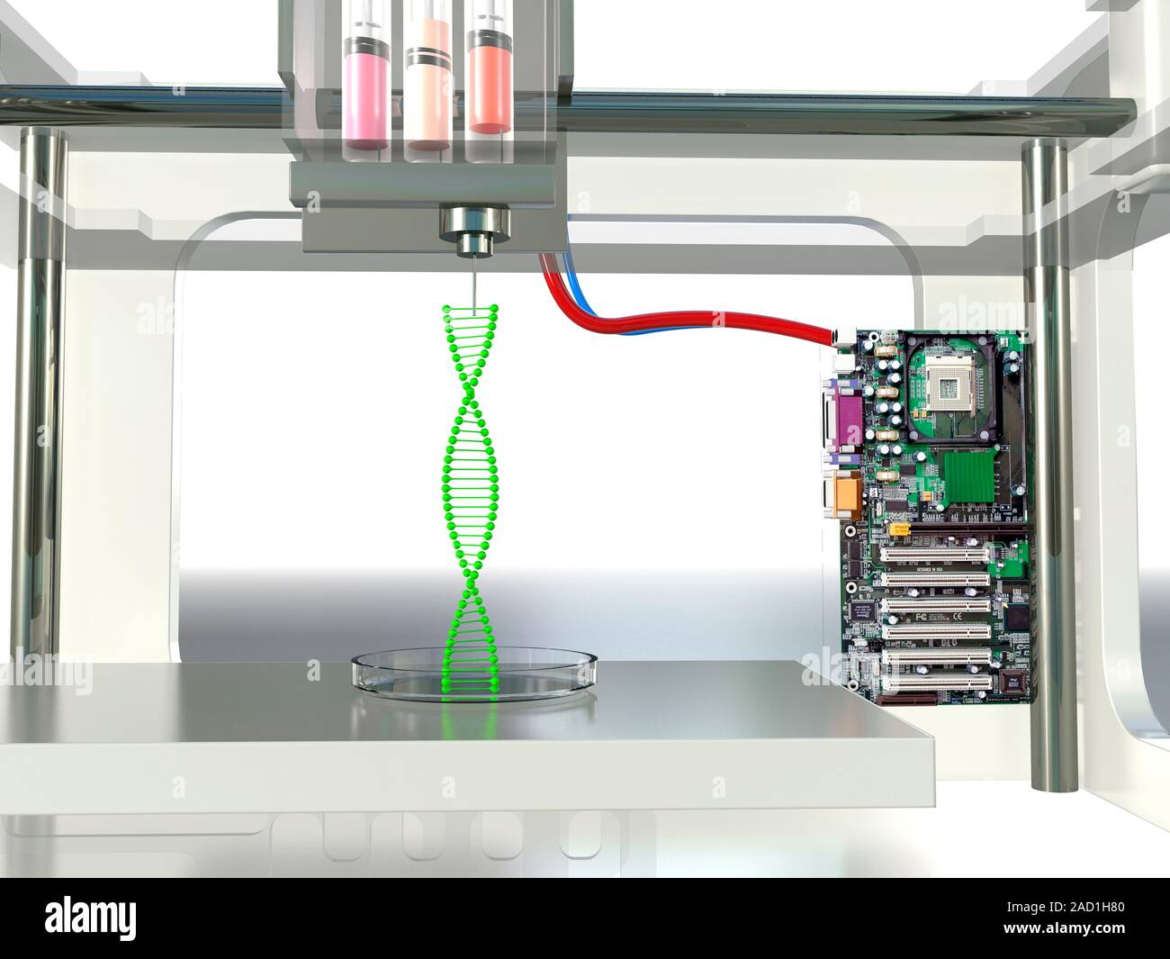 3D printed DNA, conceptual image. Computer illustration of a 3D printer ...