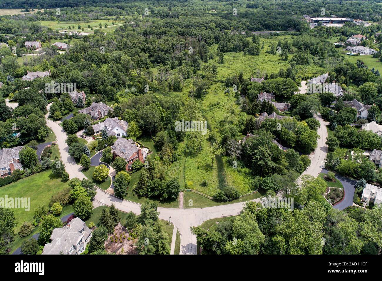 Aerial view of a luxury neighborhood with mature trees and a nature ...