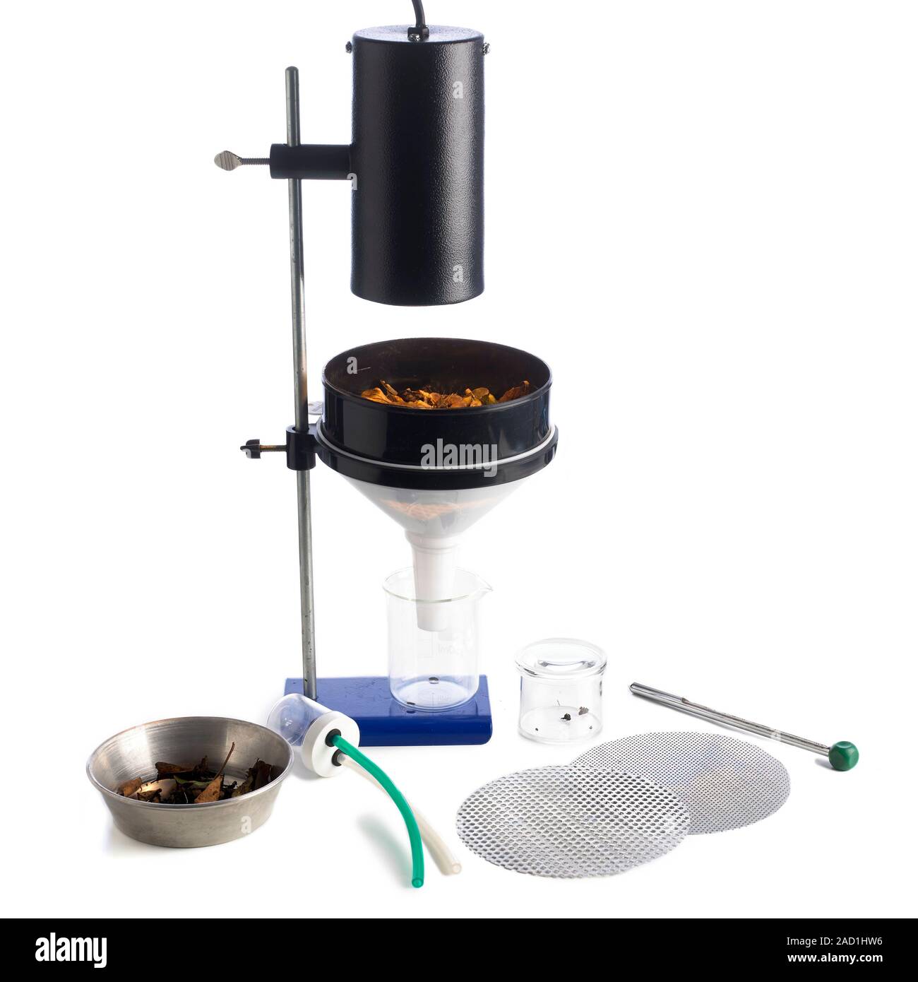 Ecology. A Tullgren funnel and light source. This is used to coax ...