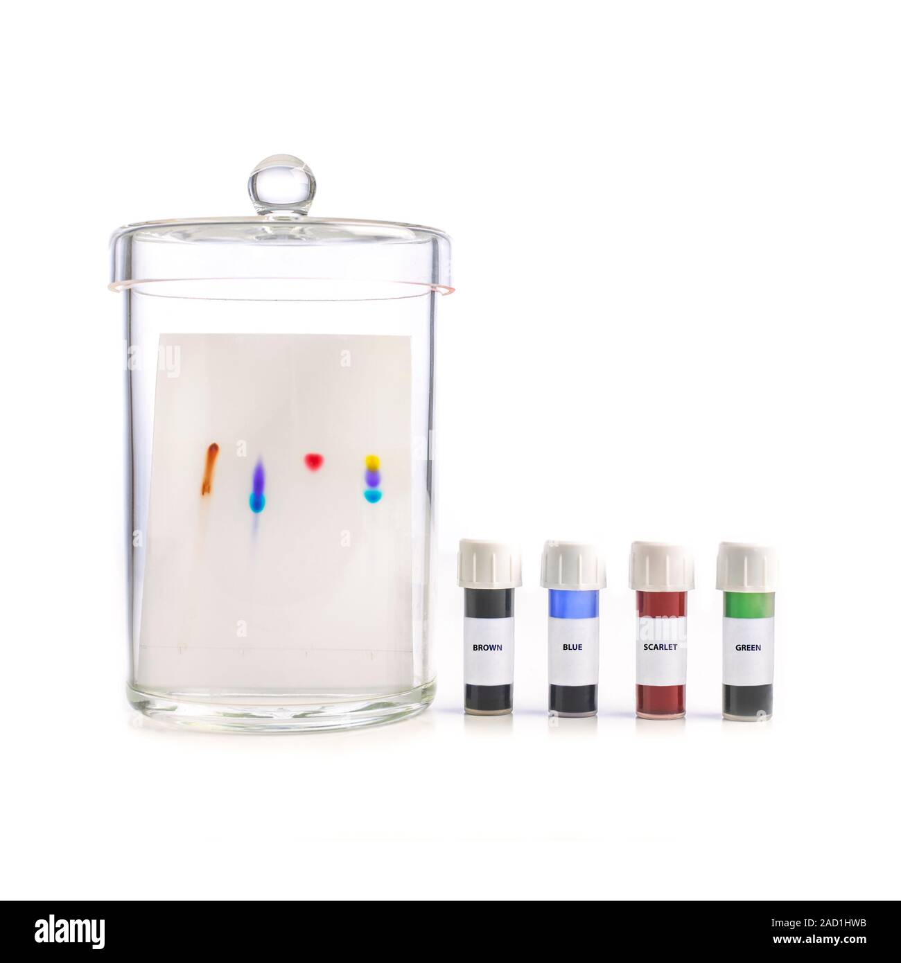 Paper chromatography. Coloured streaks left by different colour inks in ...
