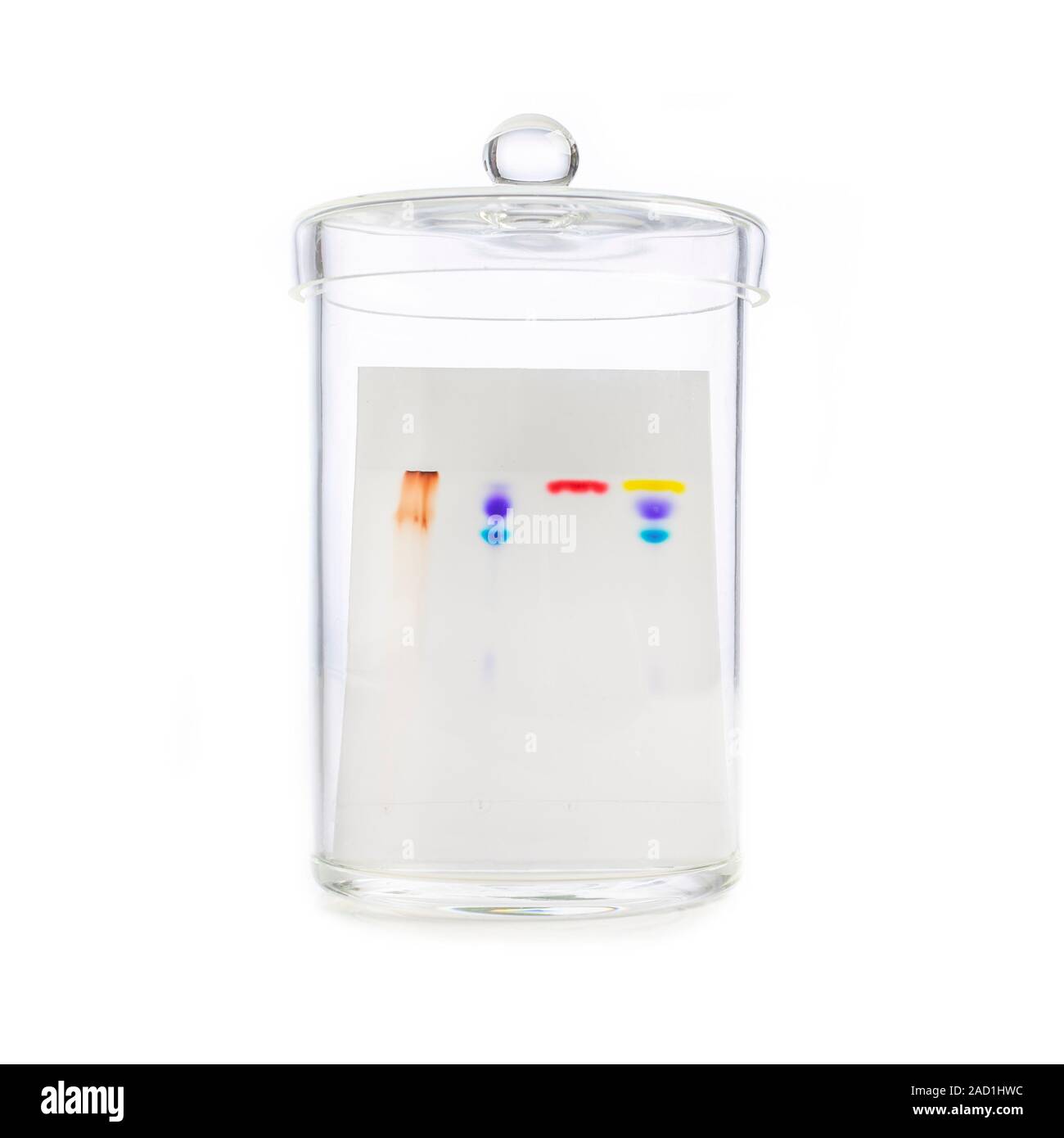 Paper chromatography. Coloured streaks left by different colour inks in ...