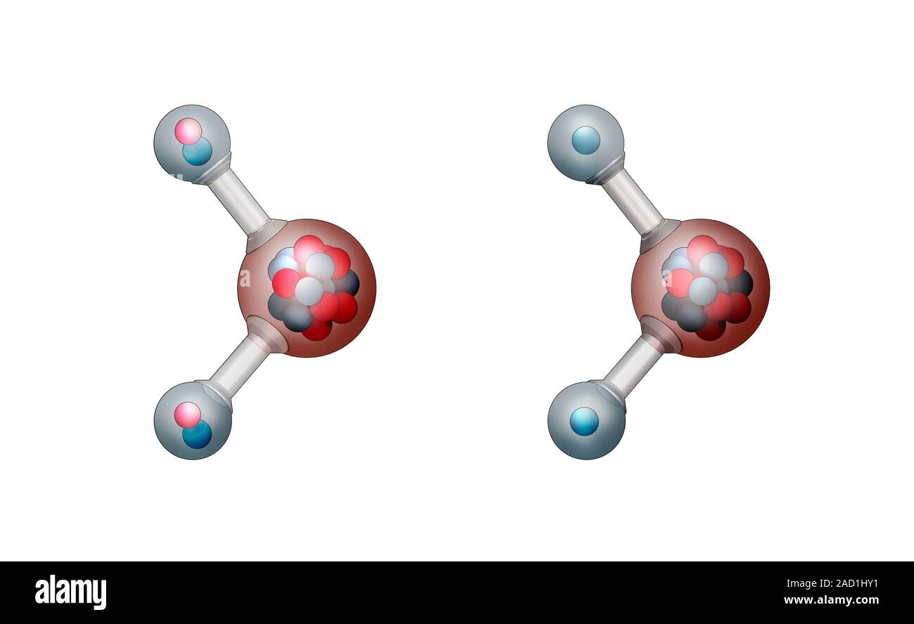 Heavy water and water. Molecular and nuclear models of heavy water ...