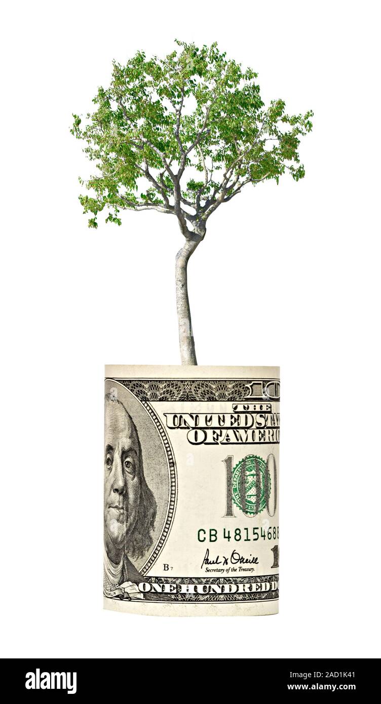 tree growing from dollar bill Stock Photo - Alamy