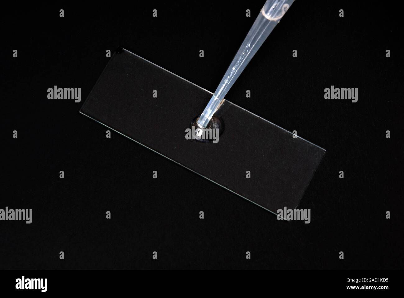 Salol cooling rapidly to form crystals. Small quantity of salol (phenyl salicylate) being placed ...