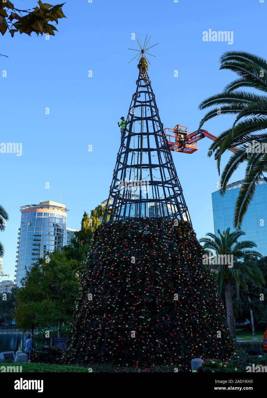 Foot of tree hi-res stock photography and images - Alamy