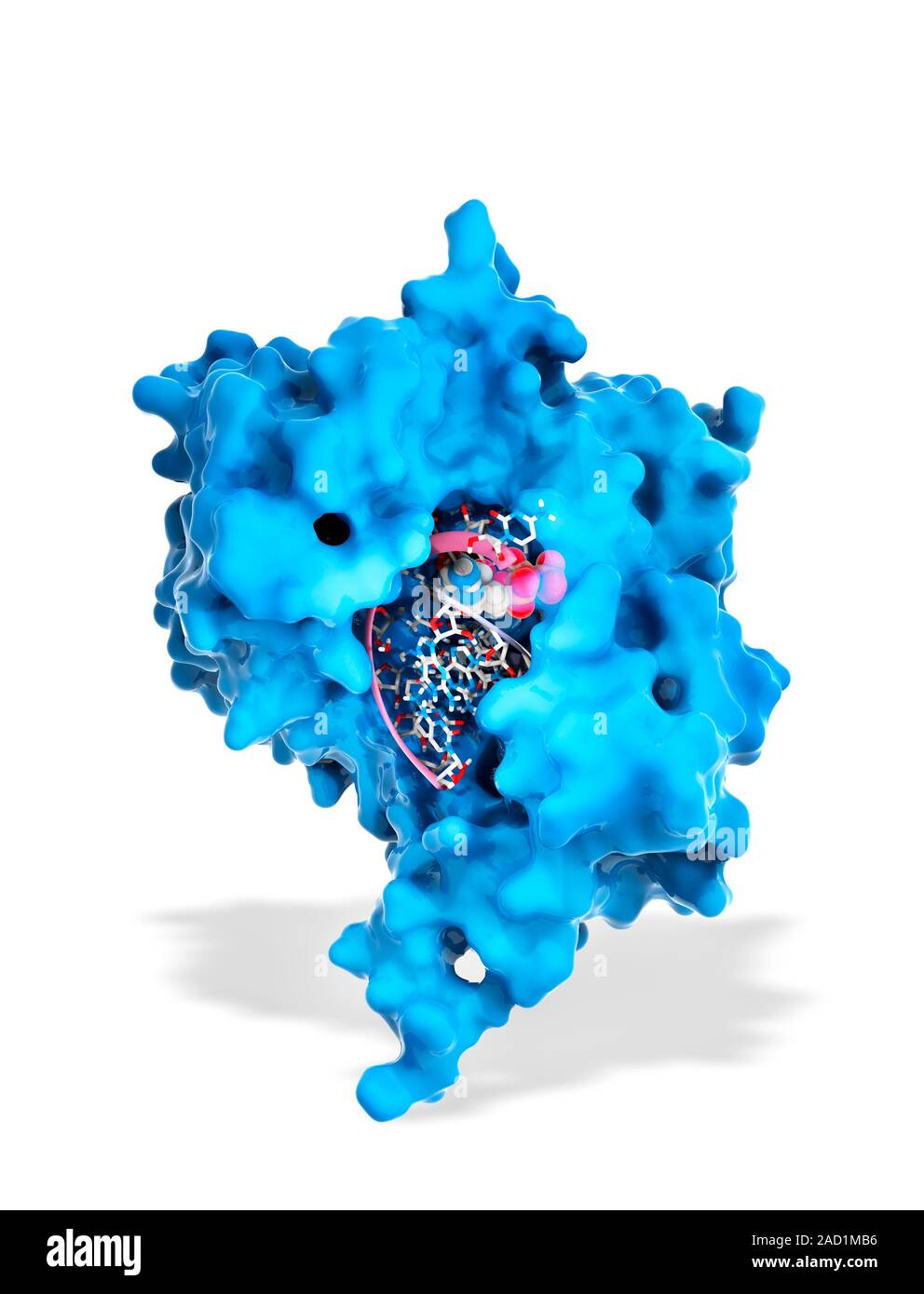 Foot-and-mouth disease virus drug complex. Computer artwork showing the ...