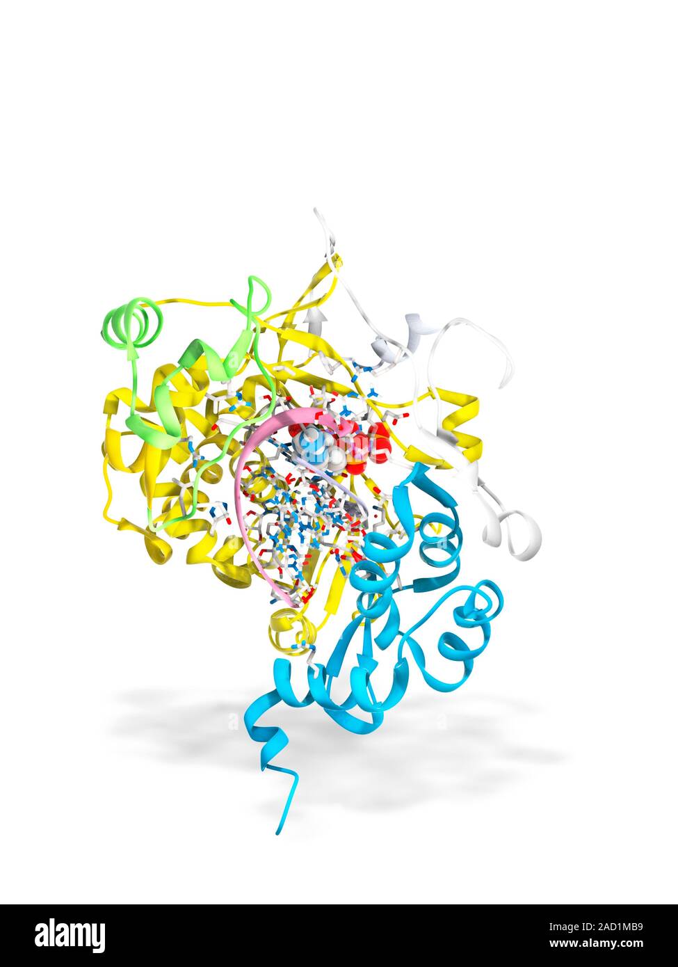 Foot-and-mouth disease virus drug complex. Computer artwork showing the ...
