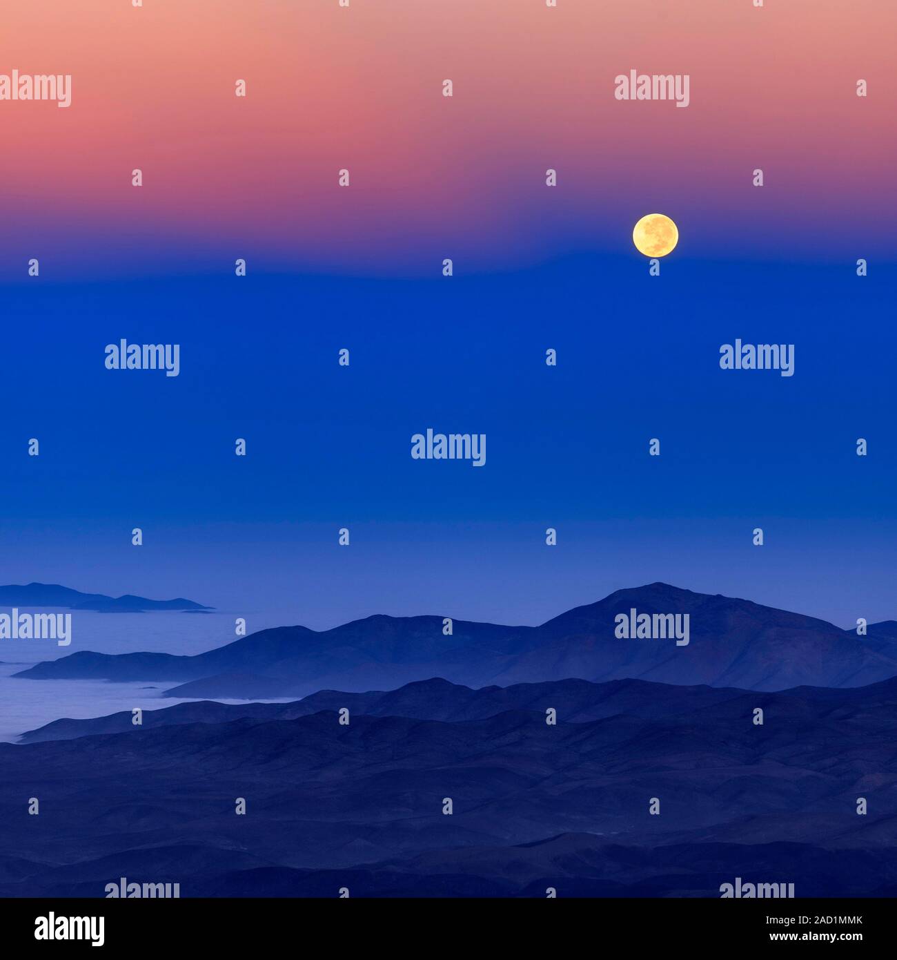 Full moon at dawn. Full moon in the sky at dawn with the blue band of ...
