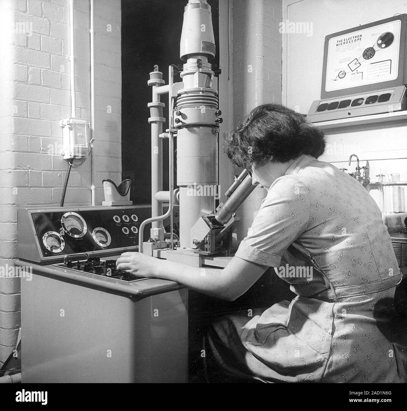 Scanning electron microscopy. Researcher operating a scanning electron ...