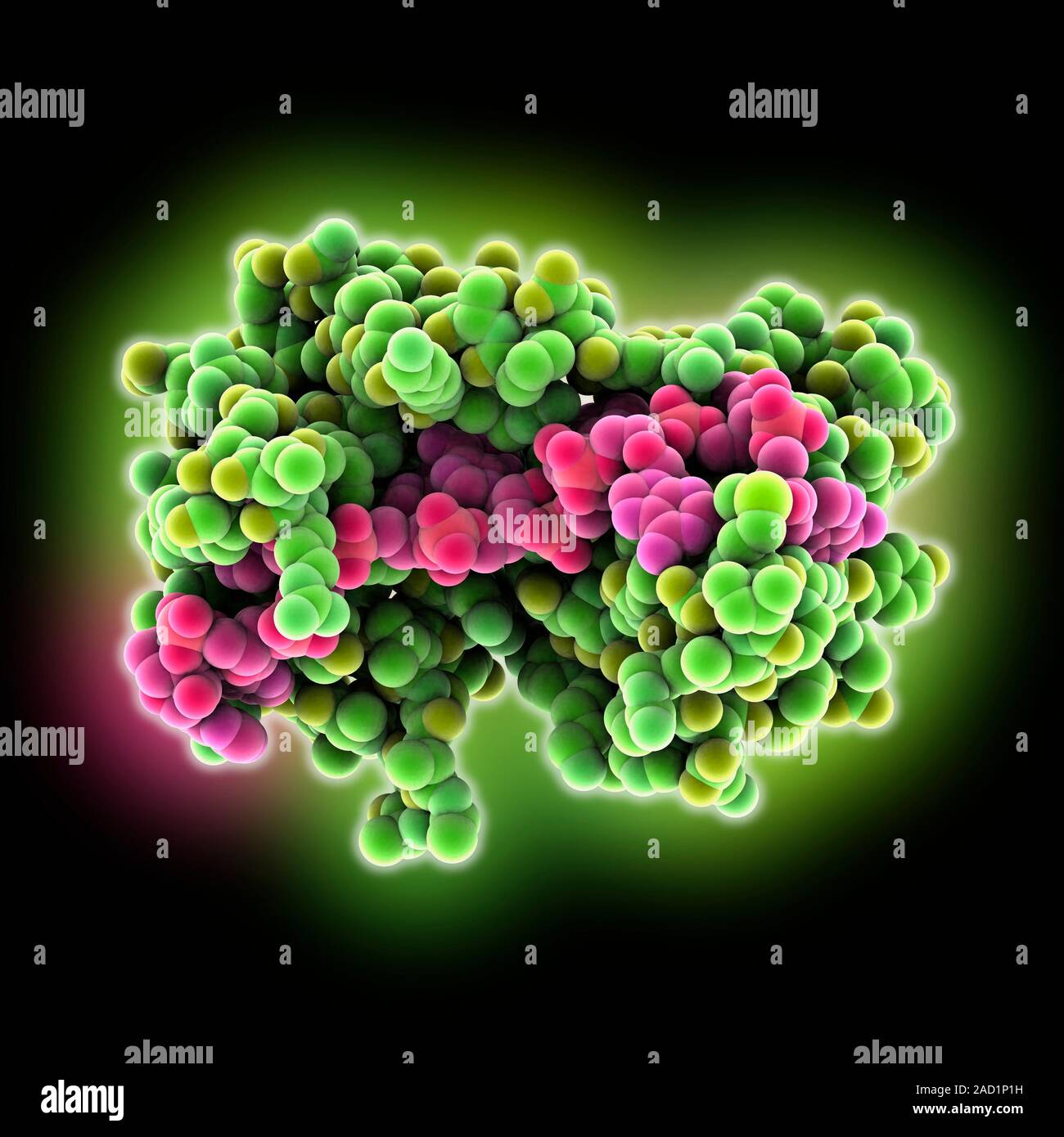 Polya Binding Protein And Rna Complex Molecular Model Showing The Structure Of A Polya