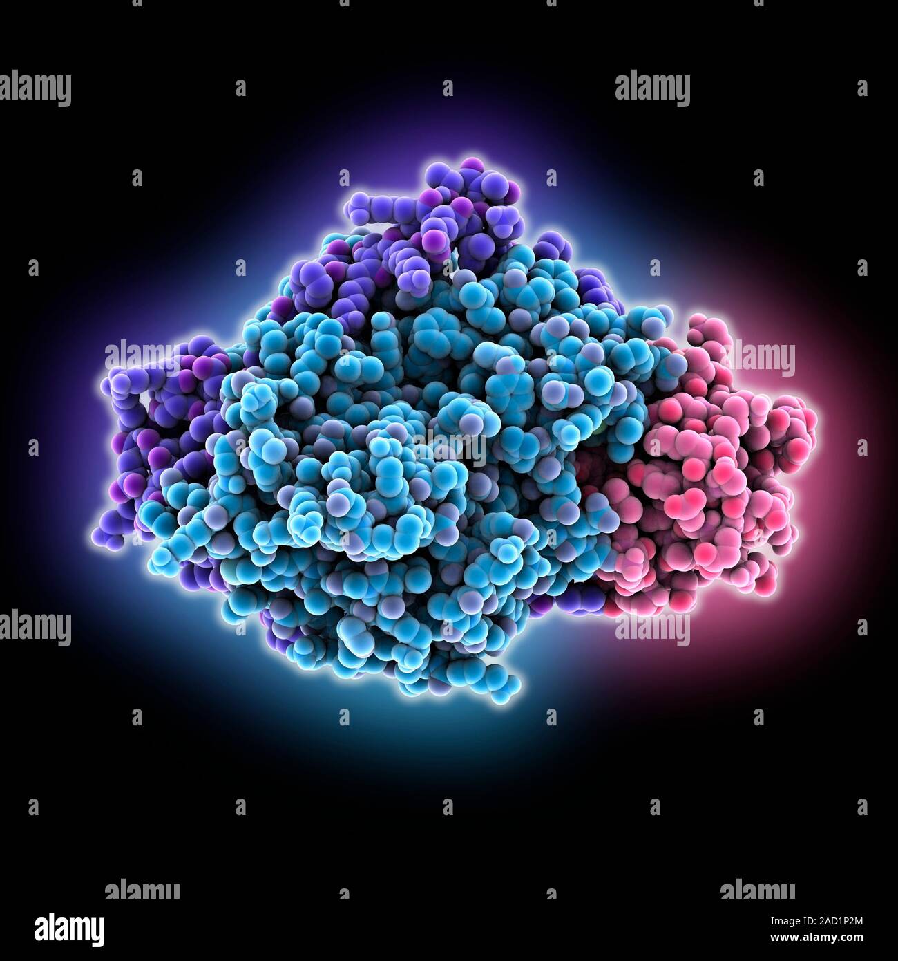 Iron hydrogenase-cytochrome complex. Molecular model of the enzyme iron ...
