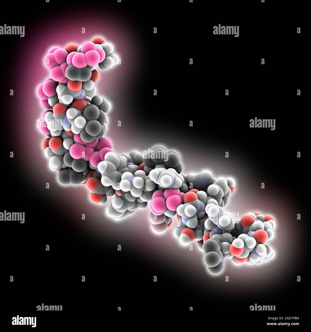 Amyloid beta protein. Molecular model showing the structure of amyloid ...