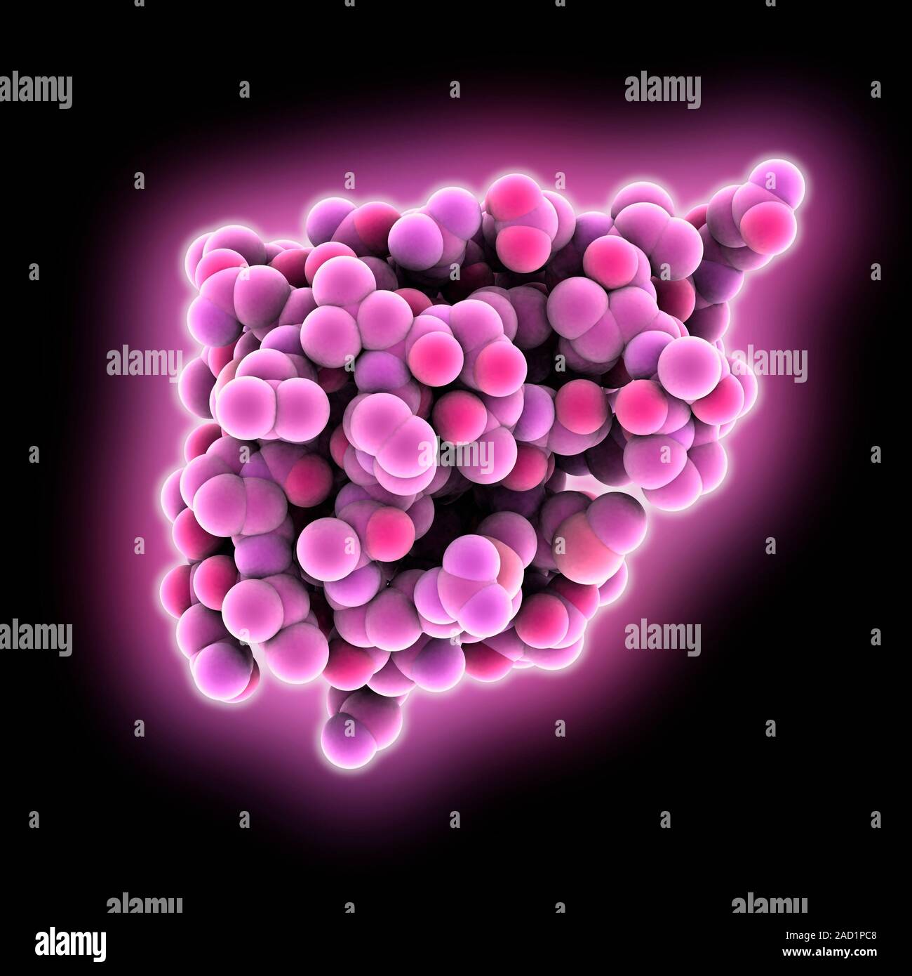 Fish antifreeze protein. Molecular model of a fish antifreeze protein ...