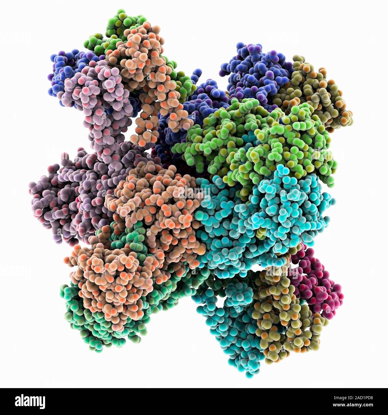Calcium-activate potassium channel, molecular model. Ion channels are ...
