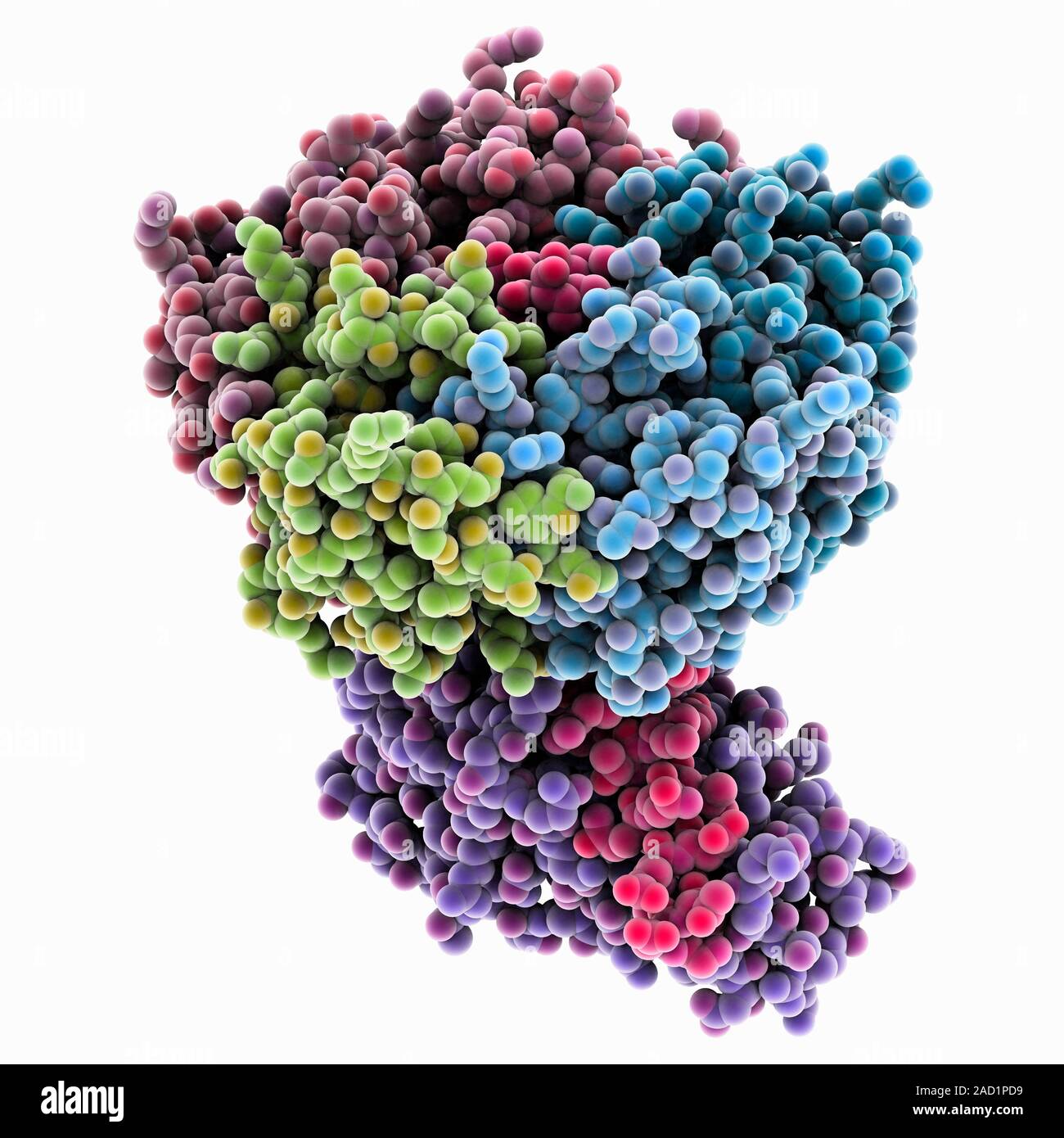 Escherichia Coli Heat Labile Enterotoxin Molecular Model This Is One Of Several Proteins