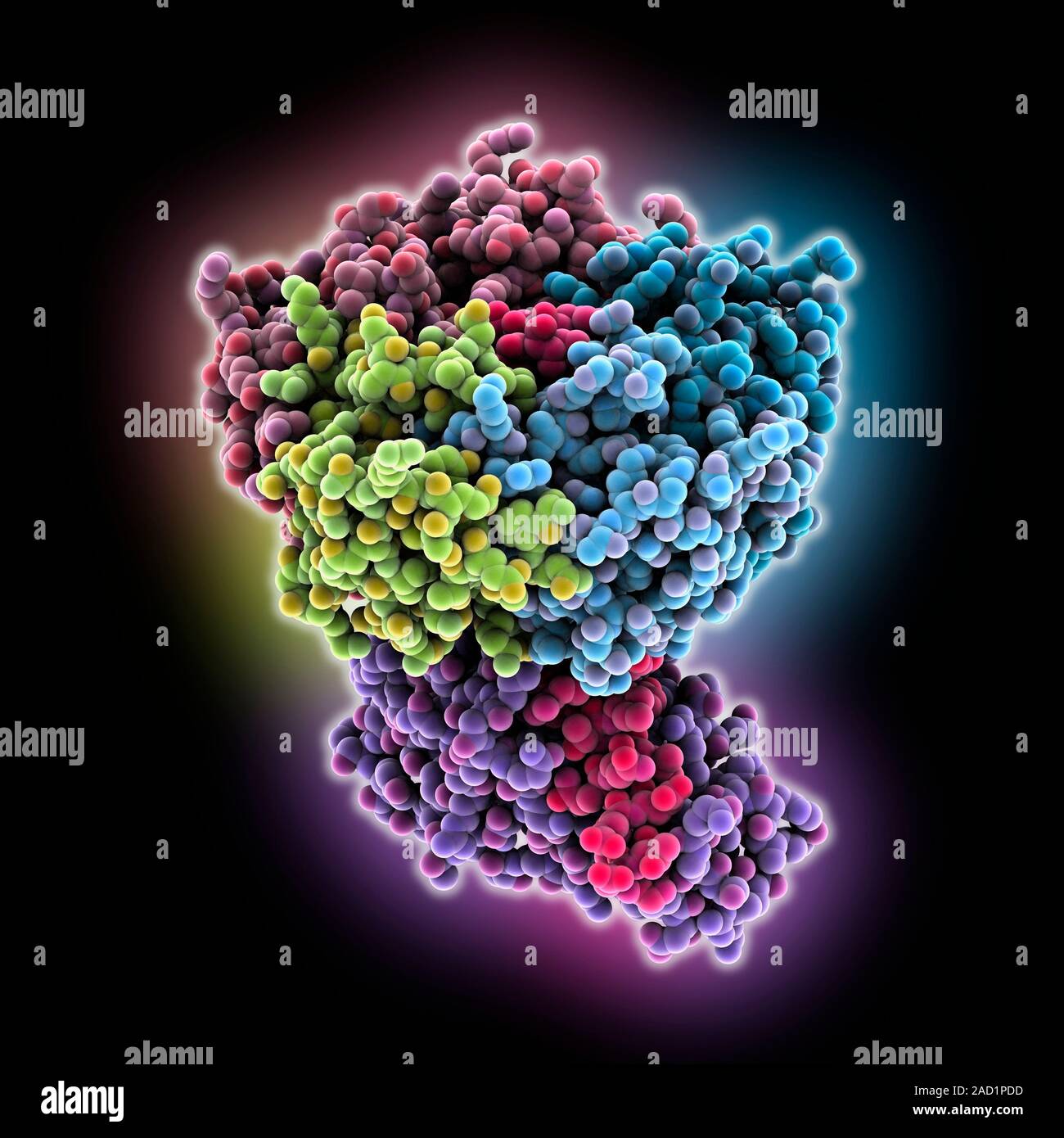 Escherichia Coli Heat Labile Enterotoxin Molecular Model This Is One Of Several Proteins