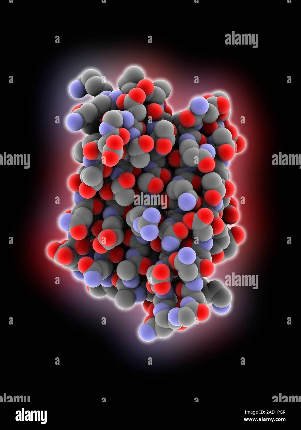 Novel protein. Molecular model of a computer-designed protein named ...