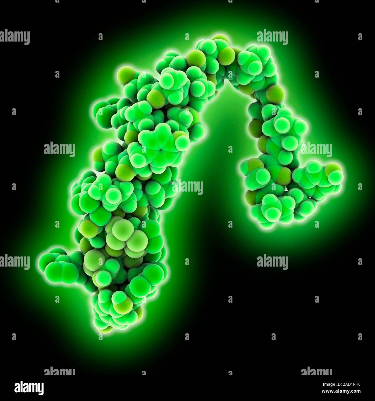 Neuropeptide Y neurotransmitter molecule. Molecular model showing the ...