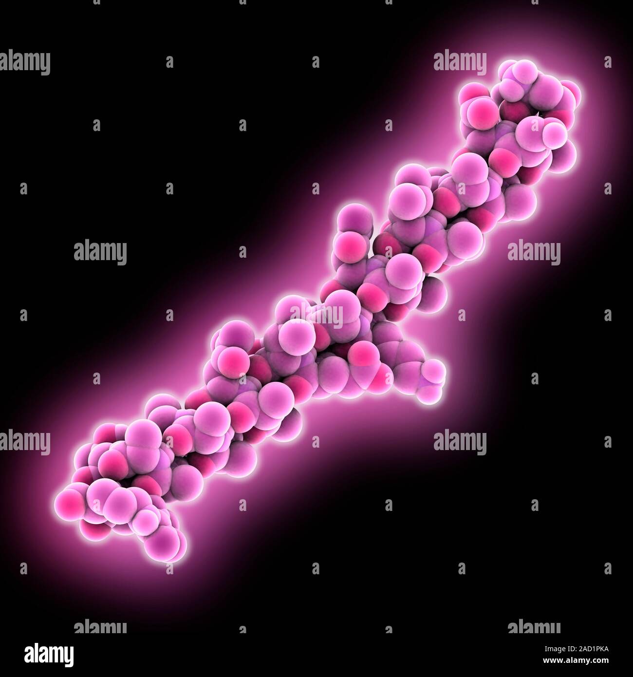 Fish antifreeze protein. Molecular model of a fish antifreeze protein ...