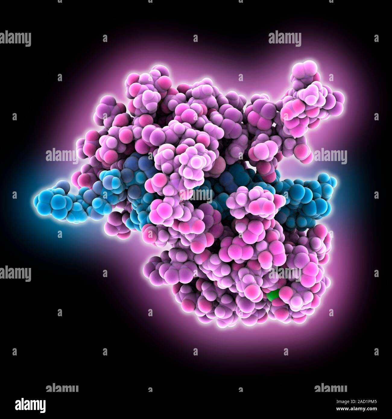 Calcium-binding protein. Molecule model of the calcium-binding protein ...