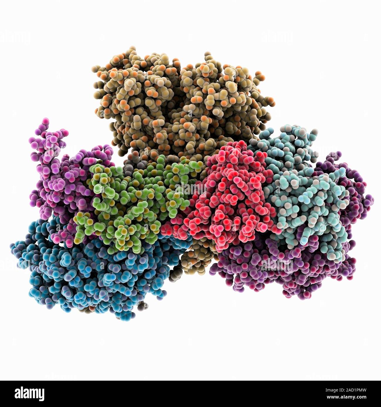 Respiratory complex I. Molecular model of the hydrophilic domain of ...