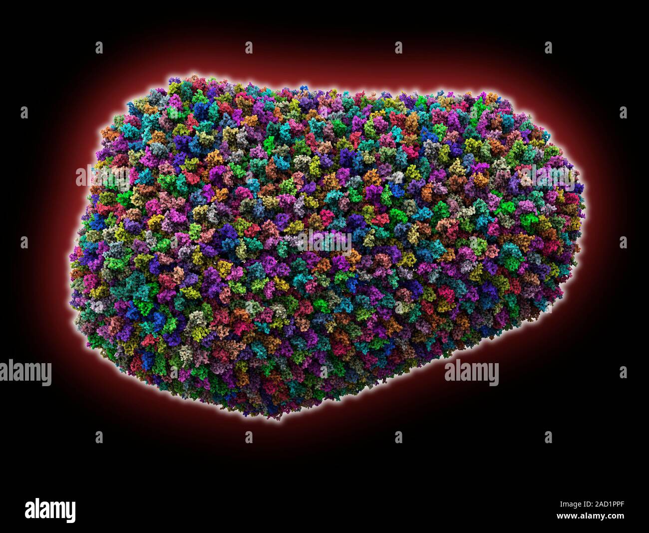 Molecular model of the capsid, or protein coat, of a human ...