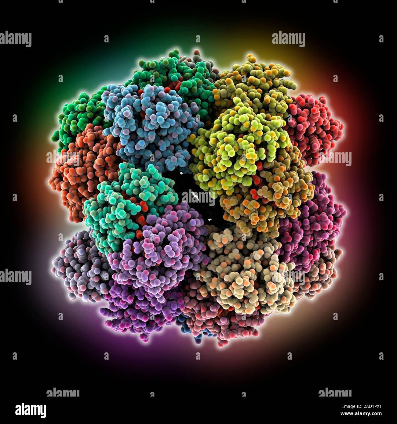 Molecular model of haemoglobin from the giant tube worm (Riftia ...
