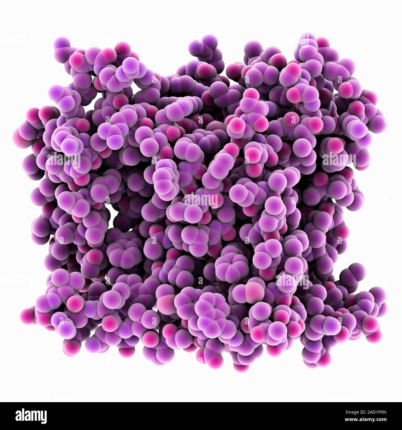 Sodium proton antiporter, molecular model. This membrane protein ...