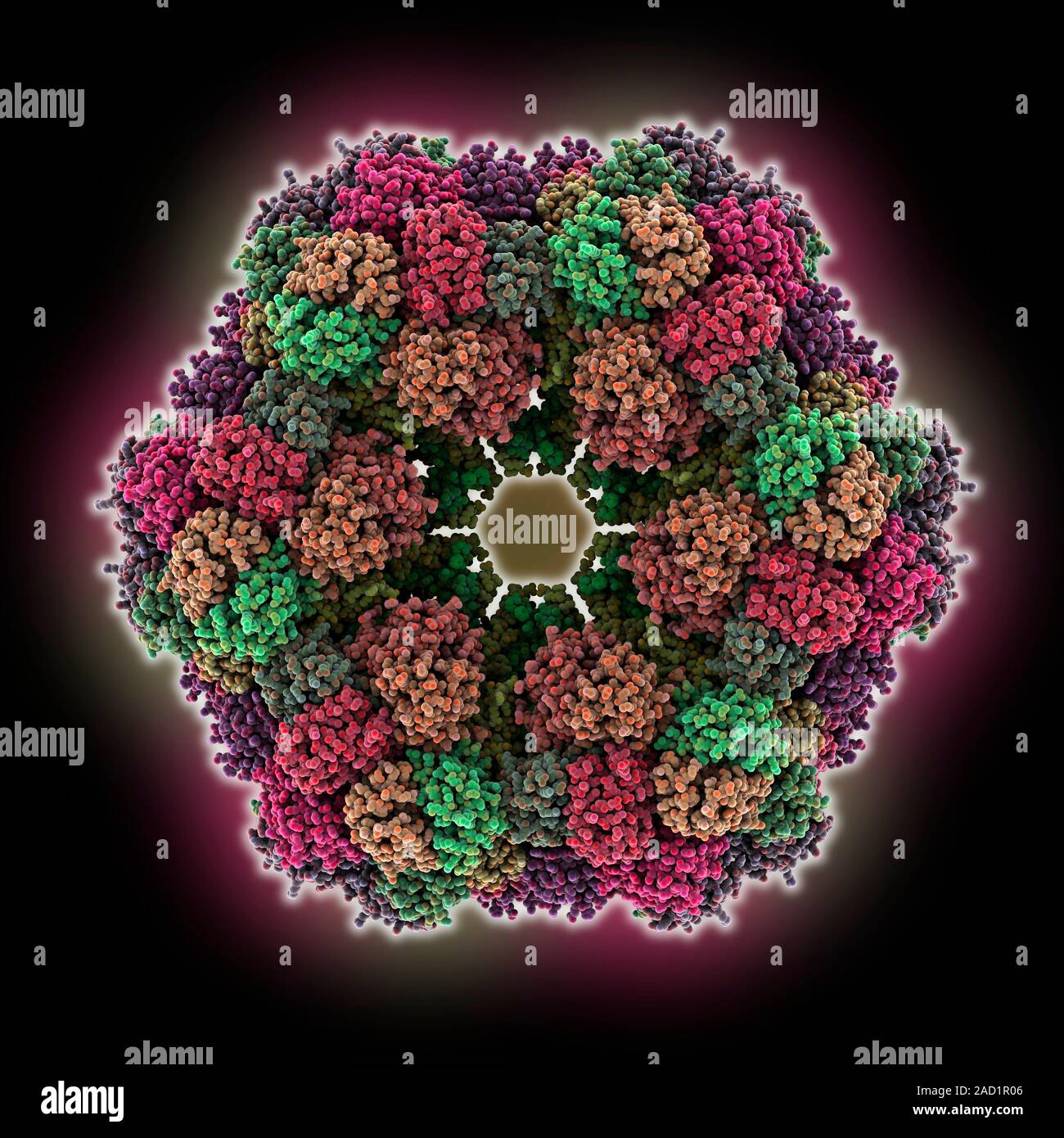 Molecular model of an erythrocruorin oxygen-carrying protein from an ...