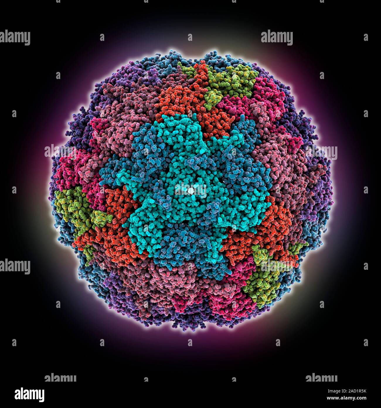 Bacterial nanocompartment. Molecular molecule of a nanocompartment from ...