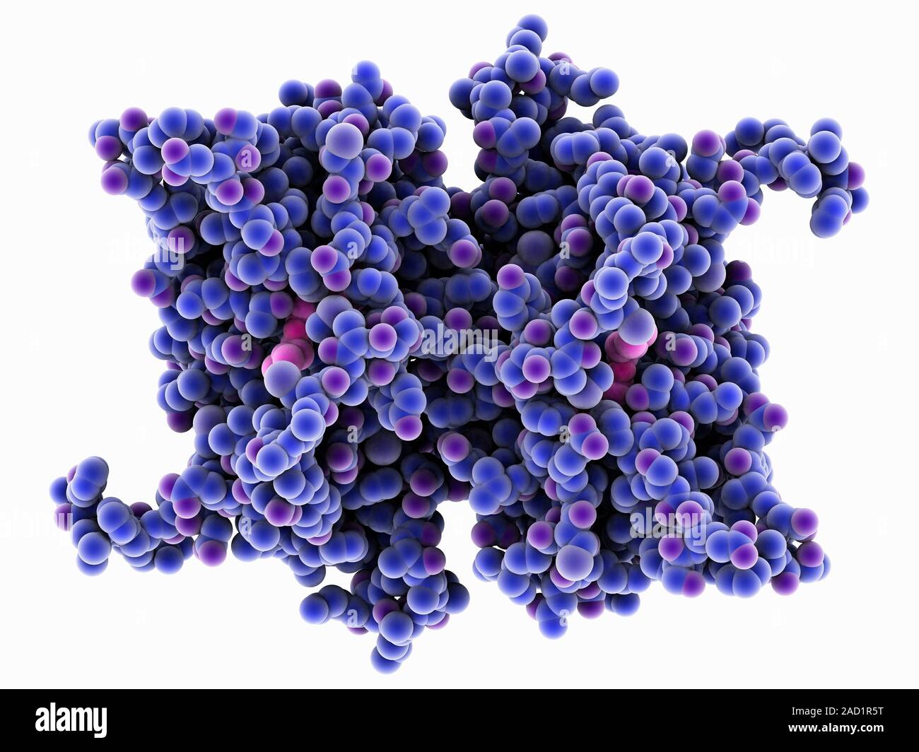 Oestrogen receptor and tamoxifen drug, molecular model. Tamoxifen is a ...