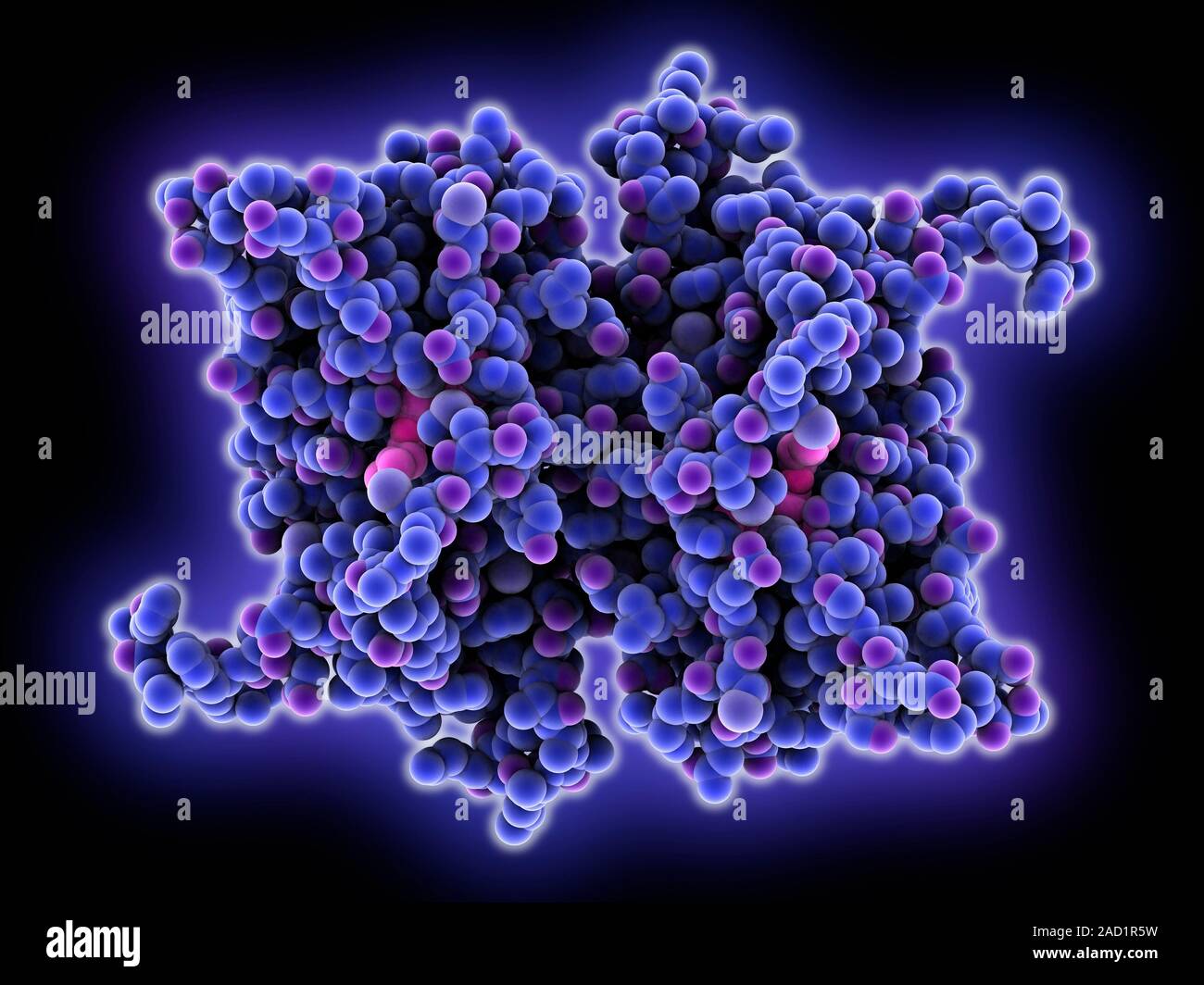 Oestrogen receptor and tamoxifen drug, molecular model. Tamoxifen is a ...