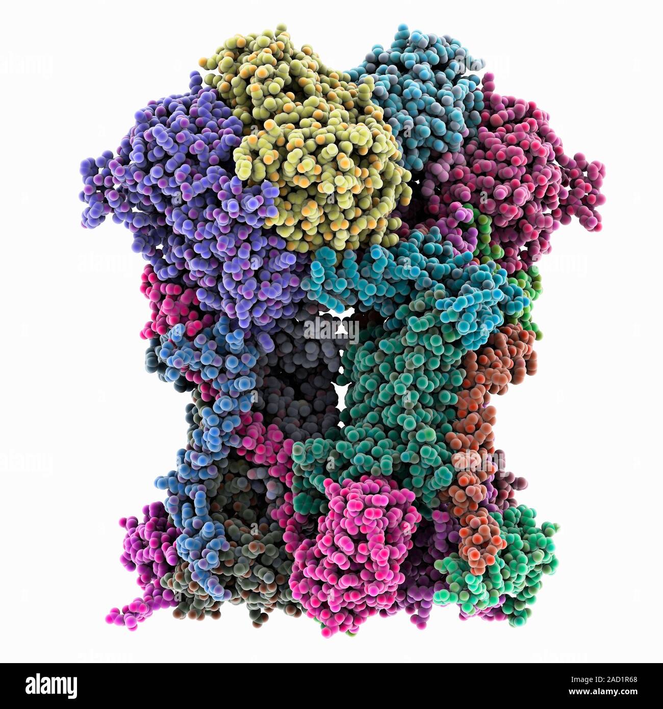 Cytochrome BC1, Molecular model. Cytochrome molecules perform oxidation ...
