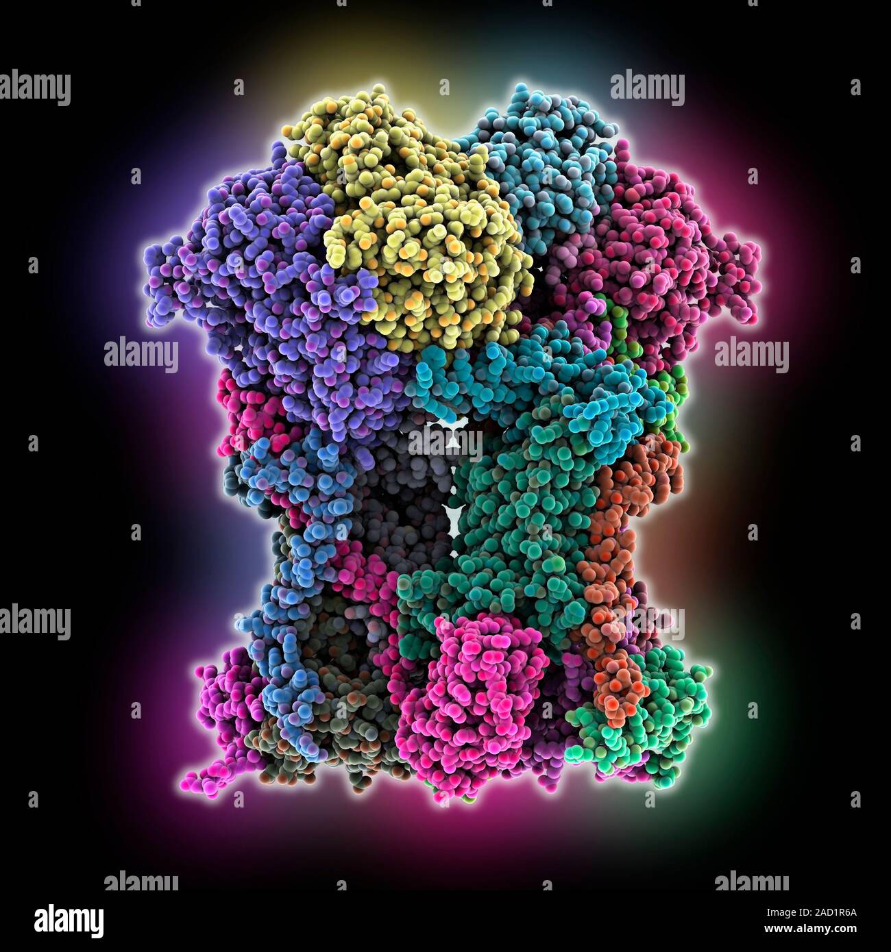 Cytochrome BC1, Molecular model. Cytochrome molecules perform oxidation ...