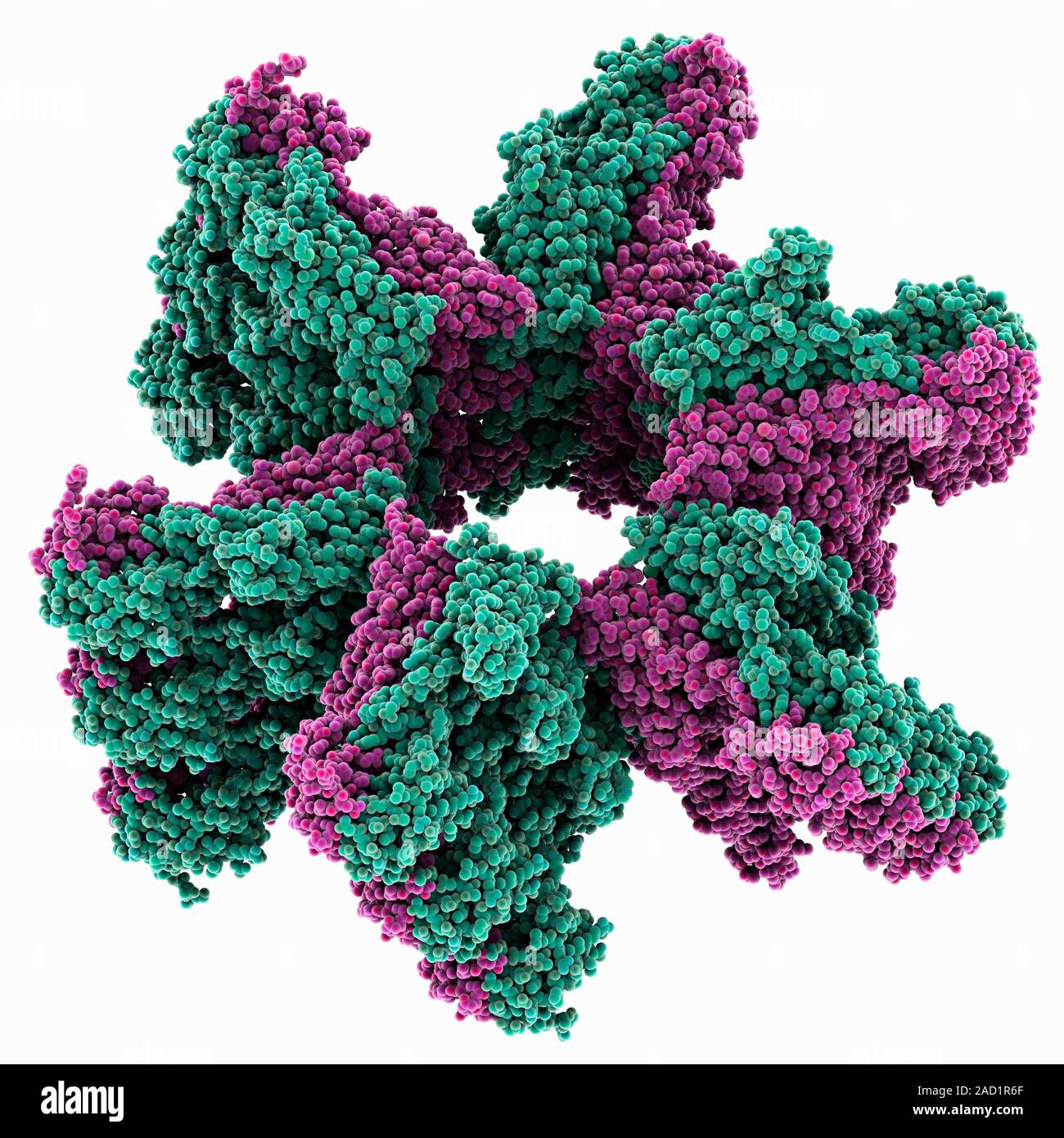 Zinc transporter Yiip, molecular model. This transmembrane protein ...