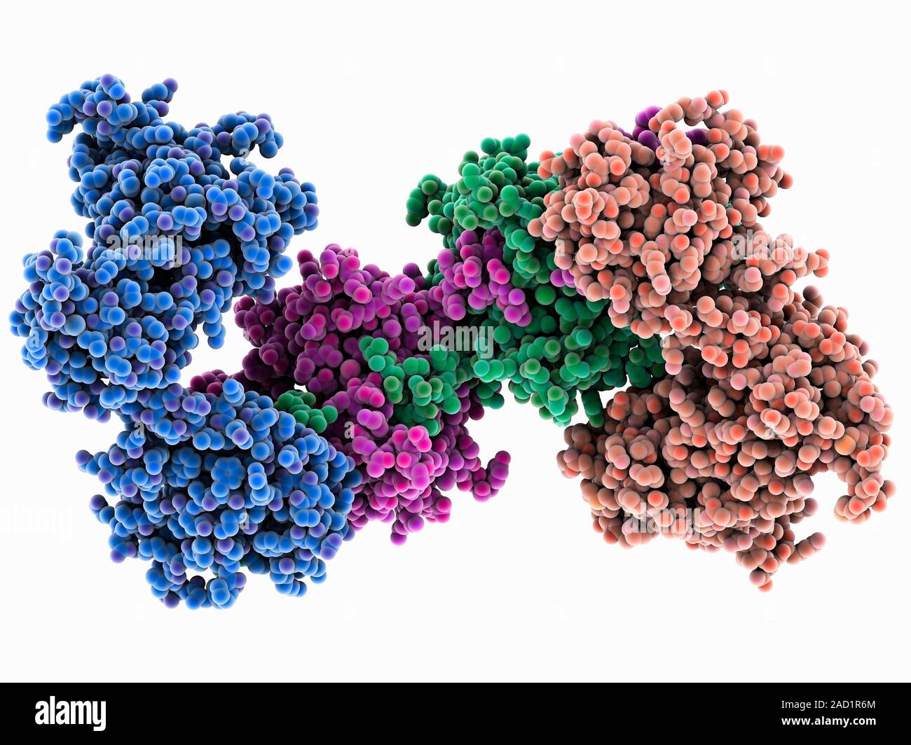 mRNA capping apparatus. Molecular model of the Cet-1-Ceg1 mRNA capping ...