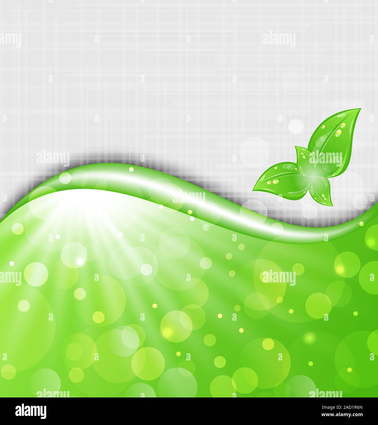 Eco friendly background with leaves Stock Photo - Alamy