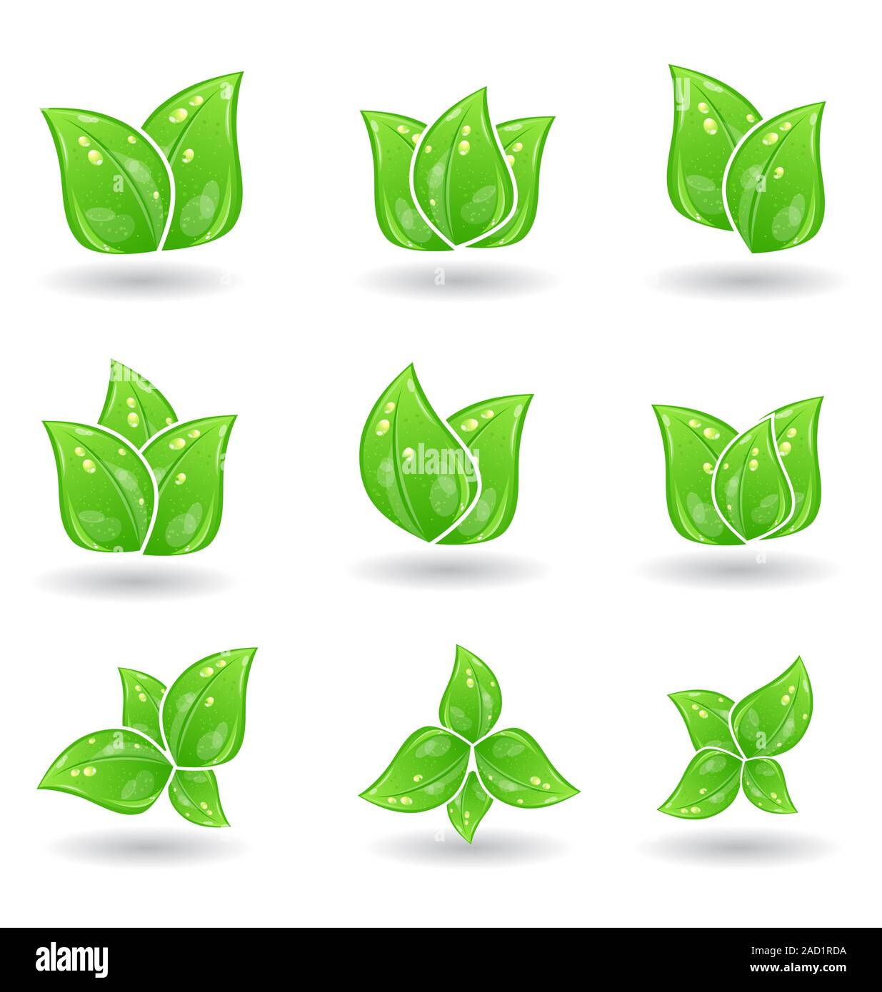 Set of green eco leaves isolated on white background Stock Photo - Alamy