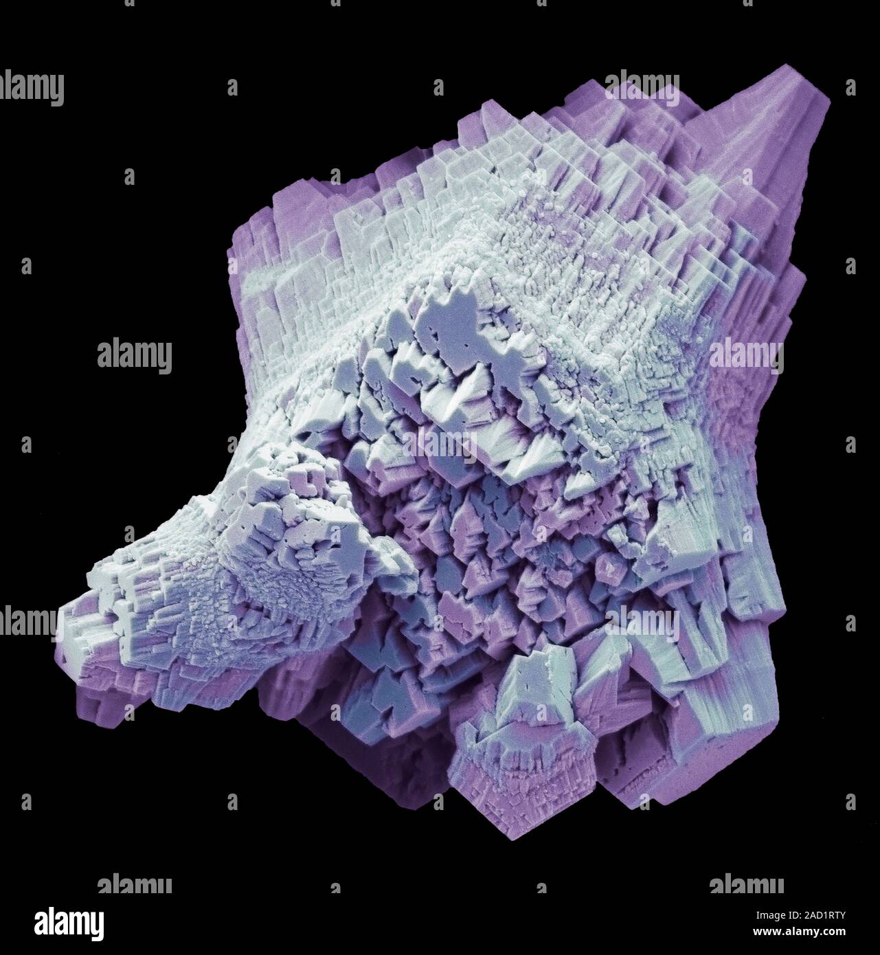 Limescale. Coloured scanning electron micrograph (SEM) of limescale ...