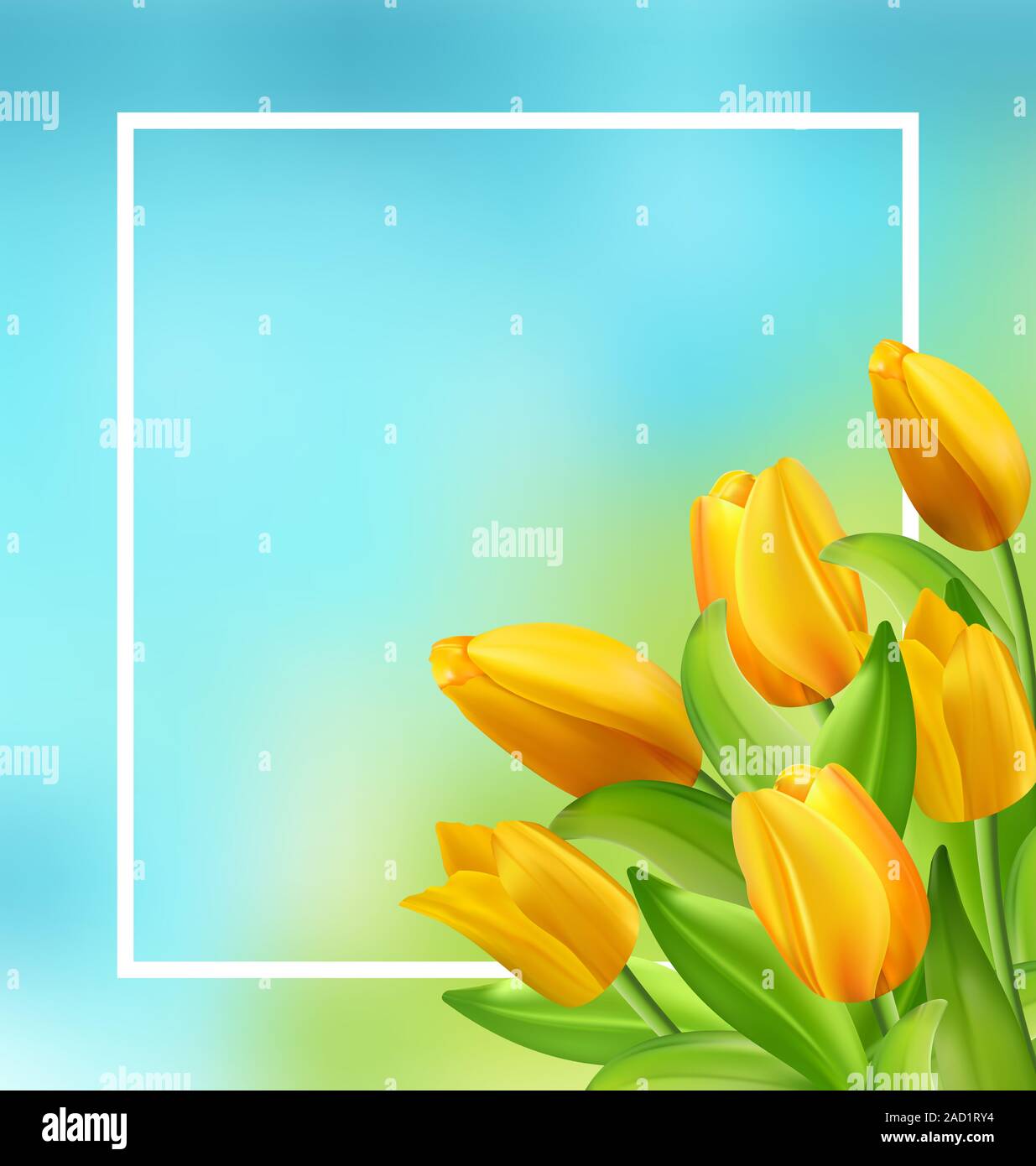 Natural Frame with Yellow Tulips Flowers Stock Photo - Alamy