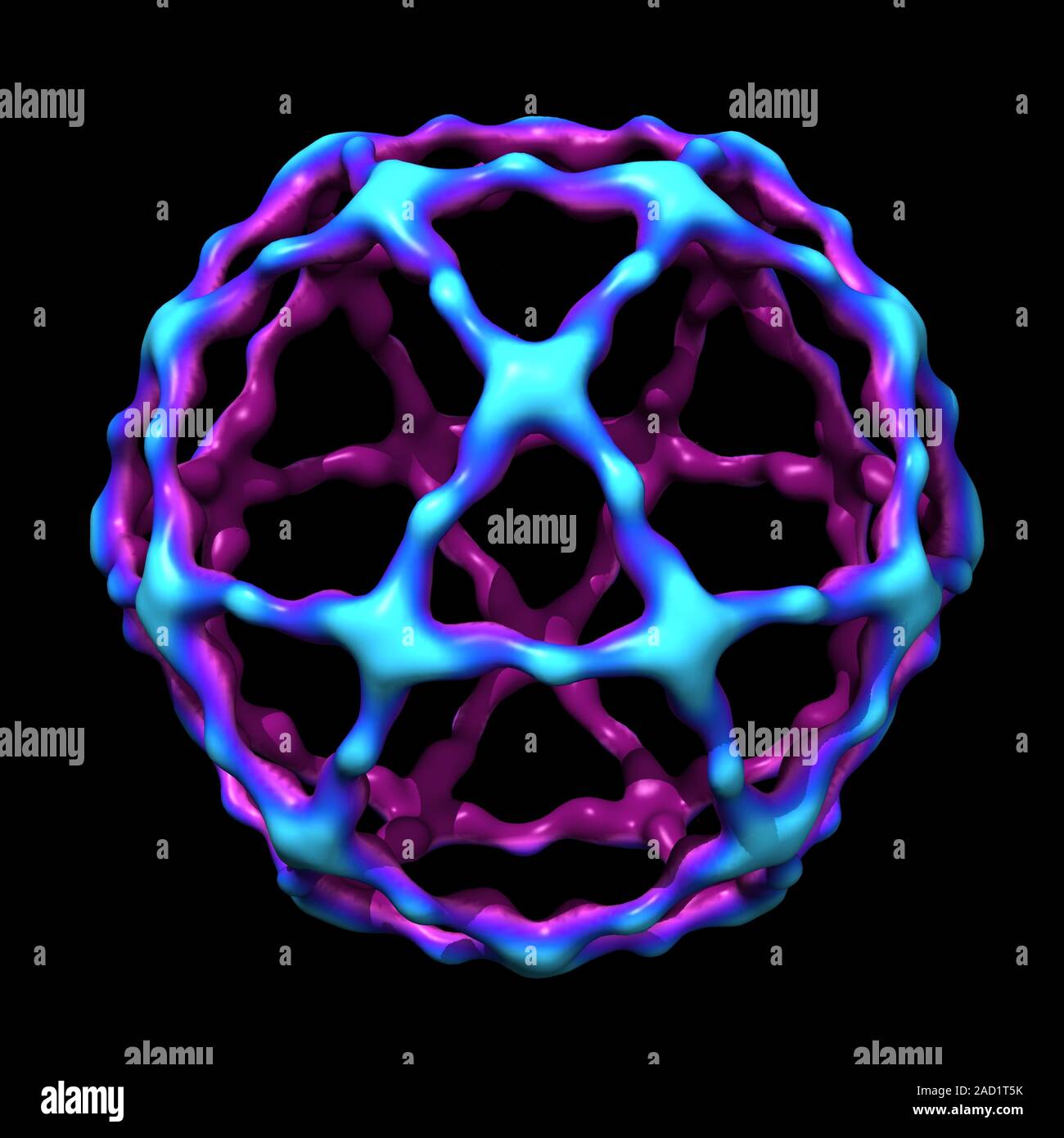 COPII vesicle coat protein. 3D computer illustration showing the ...